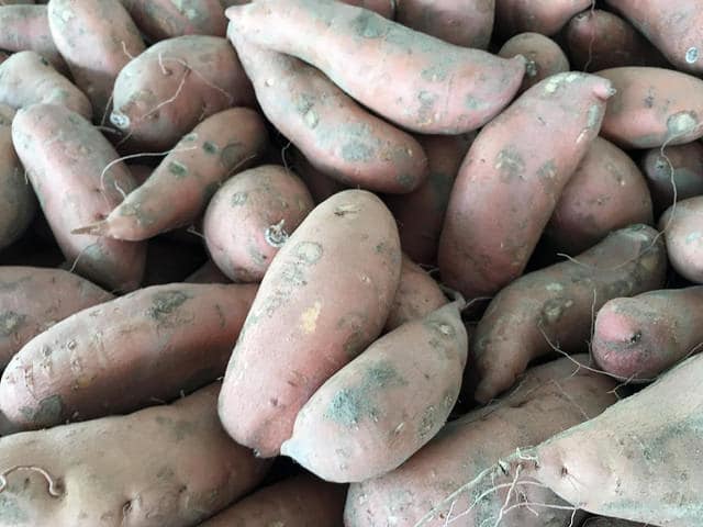 A yam gyökér egy fantasztikus gyógynövény - Ferxtreme